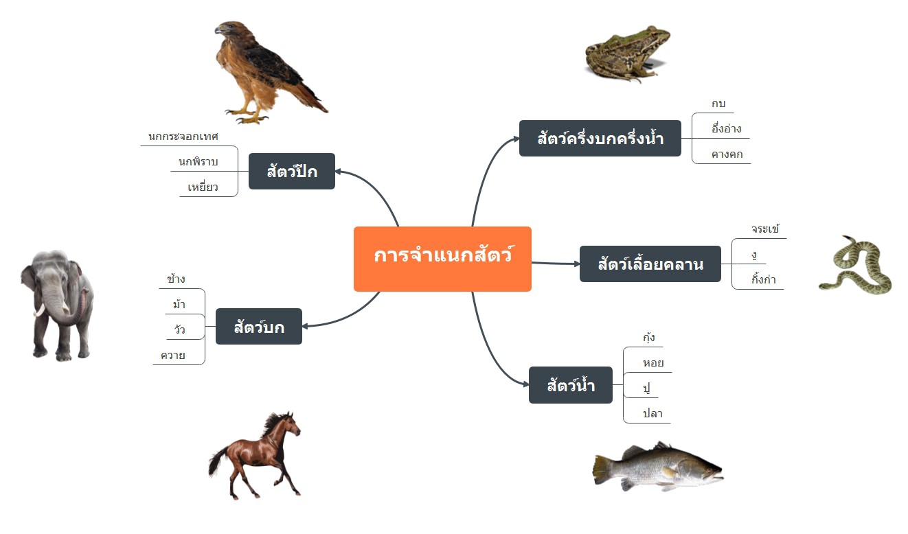 Flowchart และ Mind Map คืออะไร และ ทั้ง 2 แตกต่างกันอย่างไร